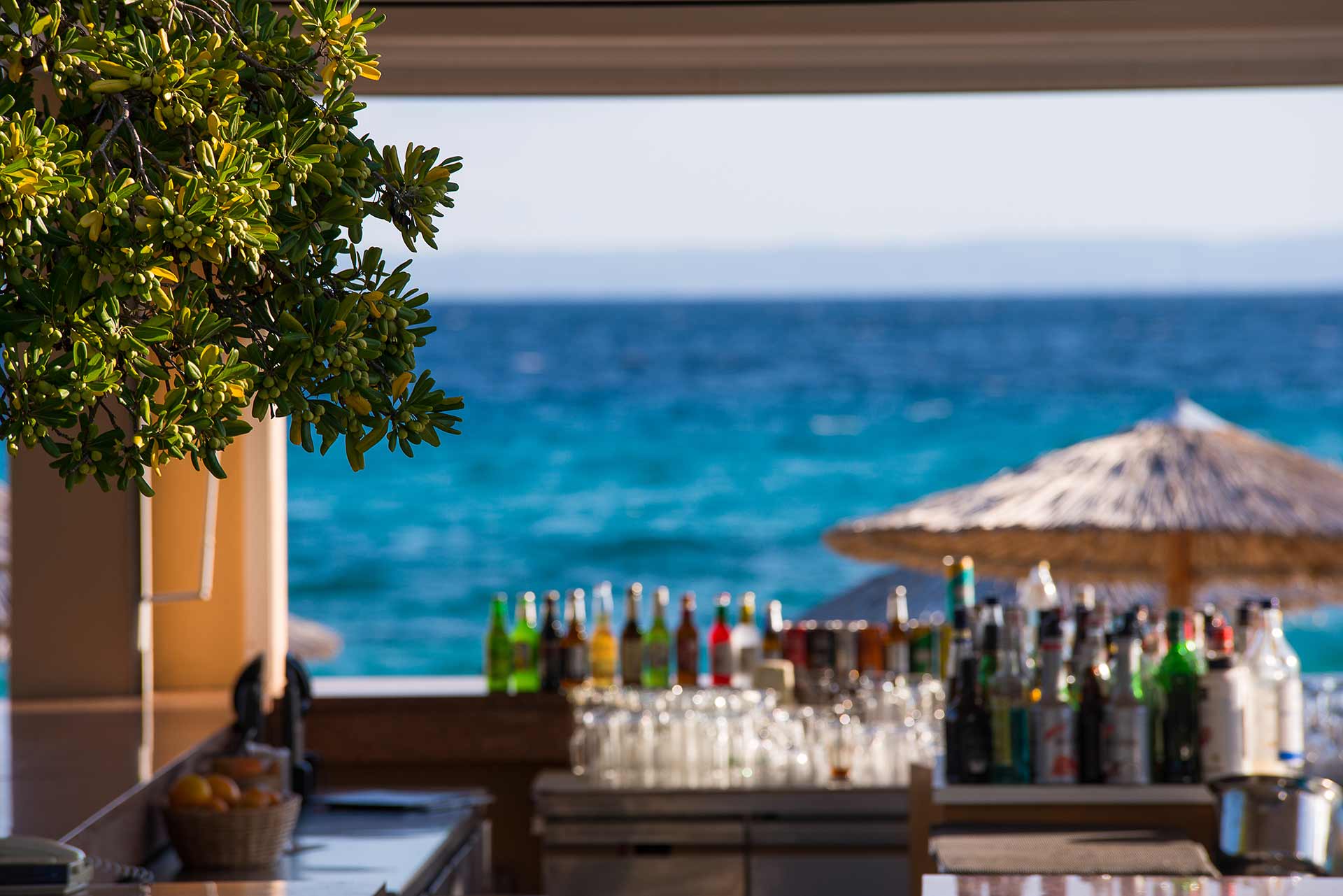 Oasis Pool Bar | Kassandra Palace